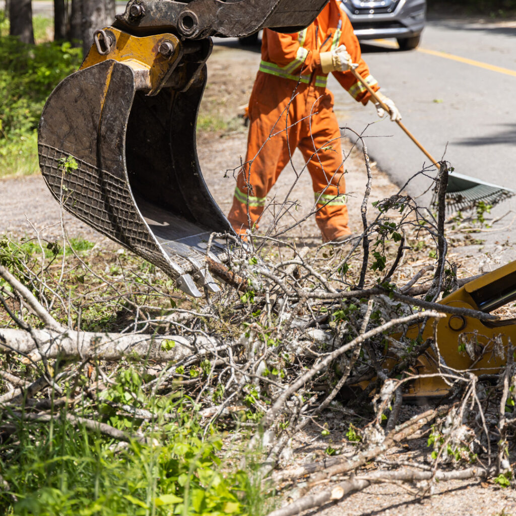 Land Clearing & Grubbing Service | Specialized Construction Labor